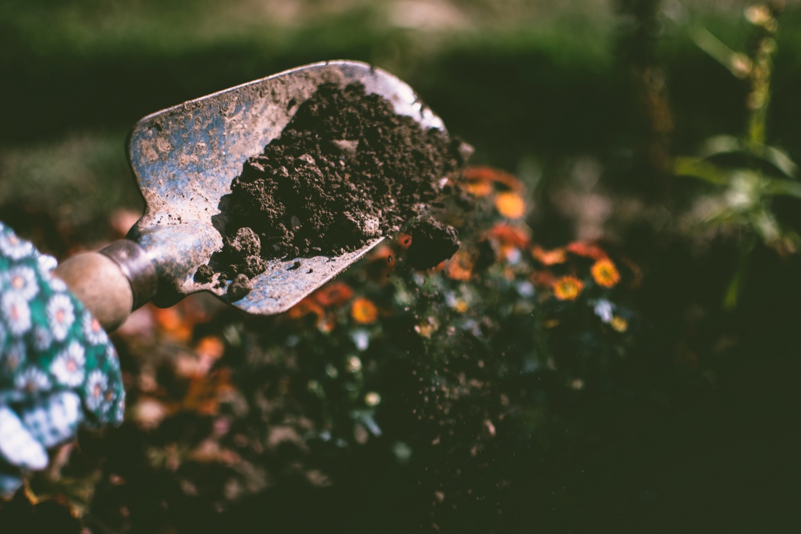 What Kind of Soil Do You Have? A Pacific Northwest Guide – Hardscaping ...